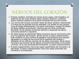 Relaciones del Corazón y Arterias Coronarias | PPTX