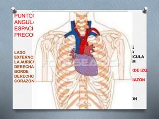 Relaciones del Corazón y Arterias Coronarias | PPTX