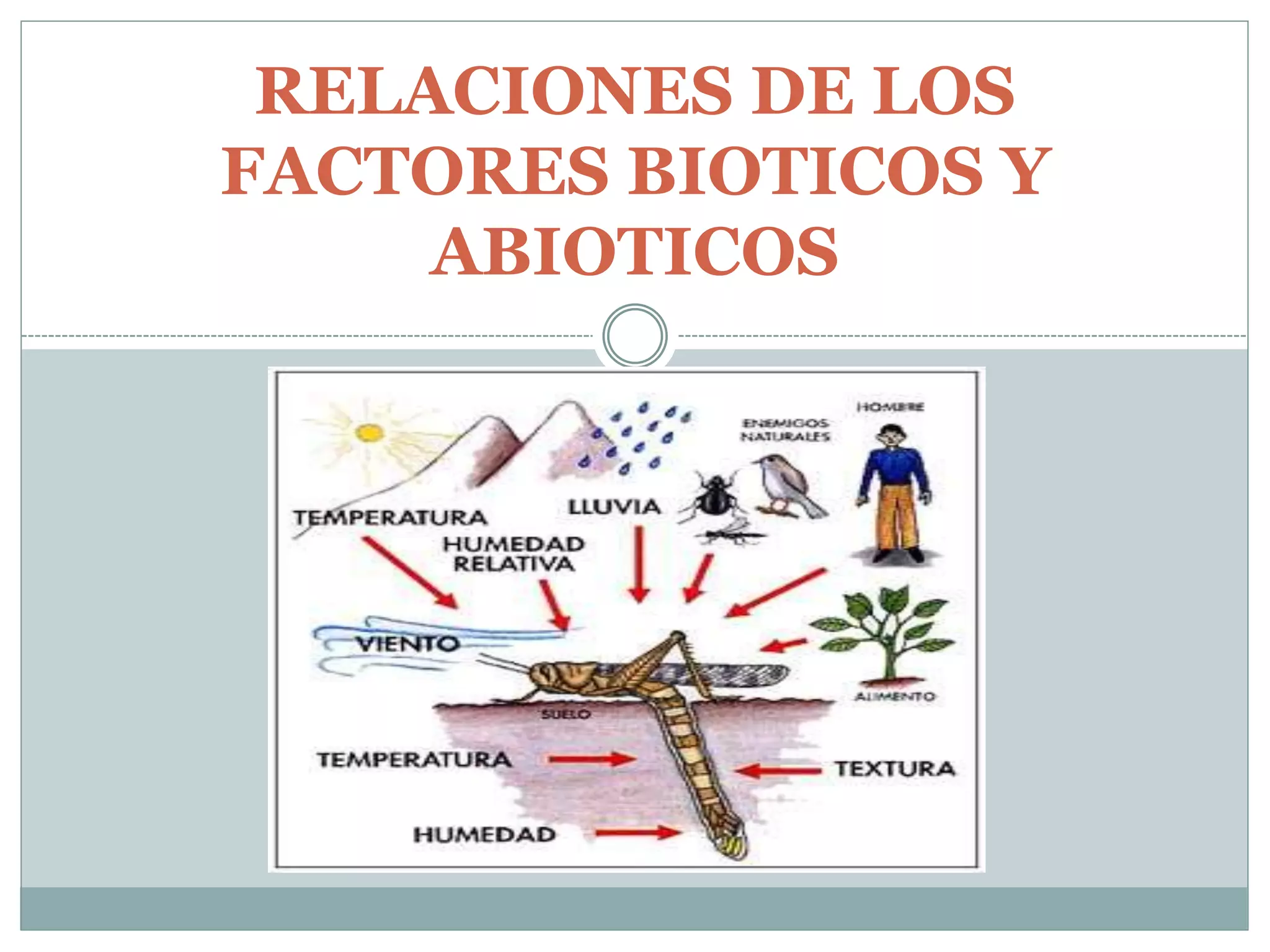 Relaciones de los factores abióticos y abióticos | PPT