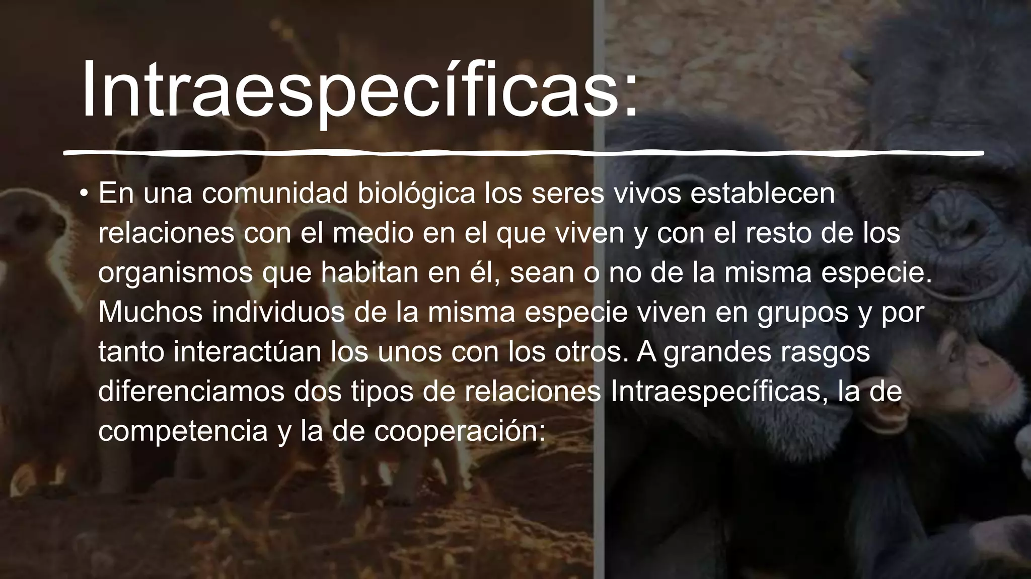 Relaciones de los seres vivos | PPTX