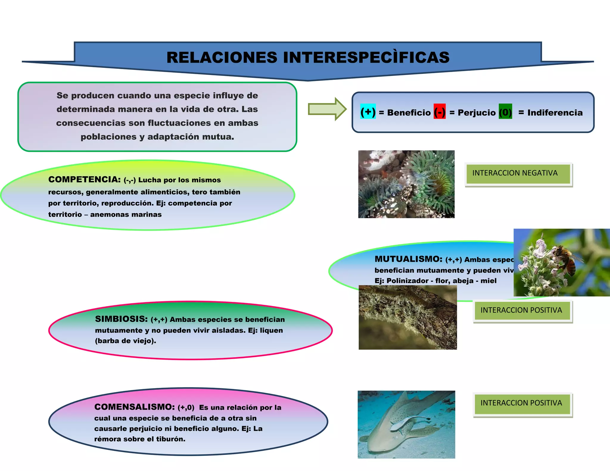 Relaciones ecológicas | PDF