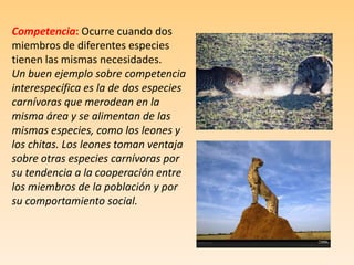 Relaciones ecológicas | PPTX