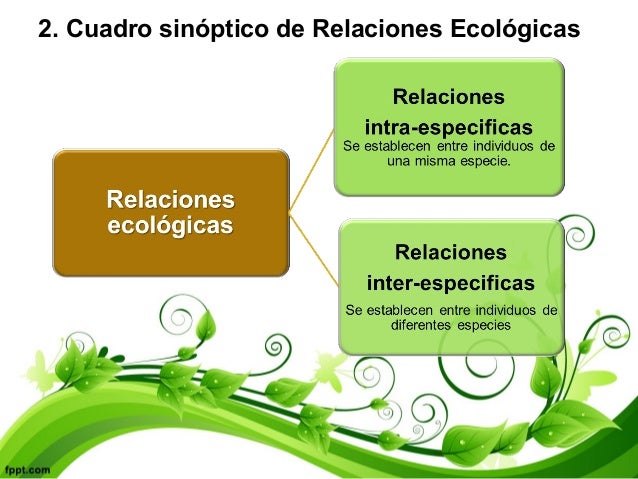 Relaciones ecológicas