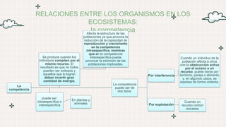 Relaciones ecológicas.pptx