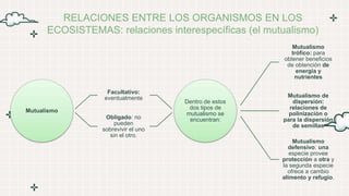Relaciones ecológicas.pptx