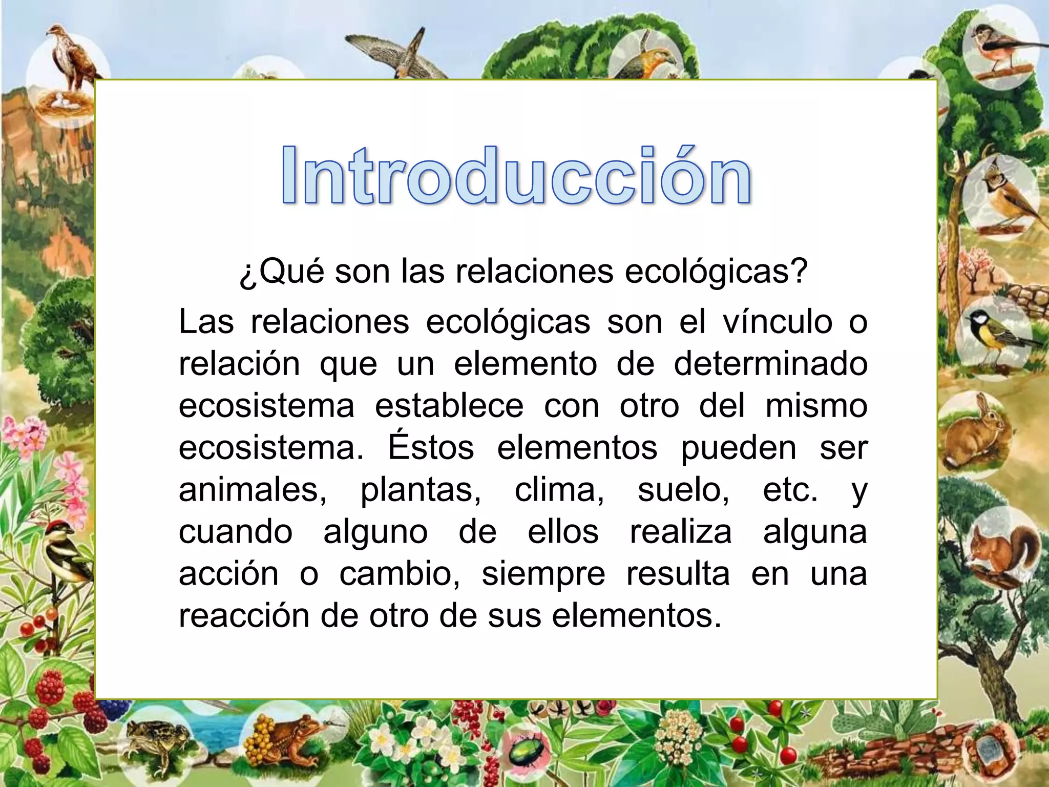 Relaciones ecologicas | PPTX | Biological Sciences | Science