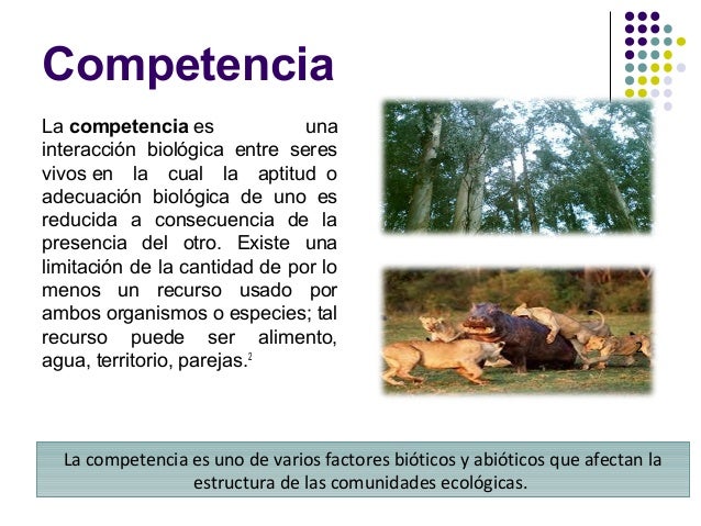 Relaciones ecologicas