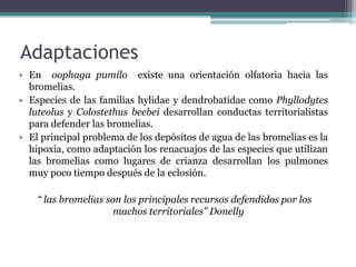 Relaciones ecologicas anfibio planta | PPTX
