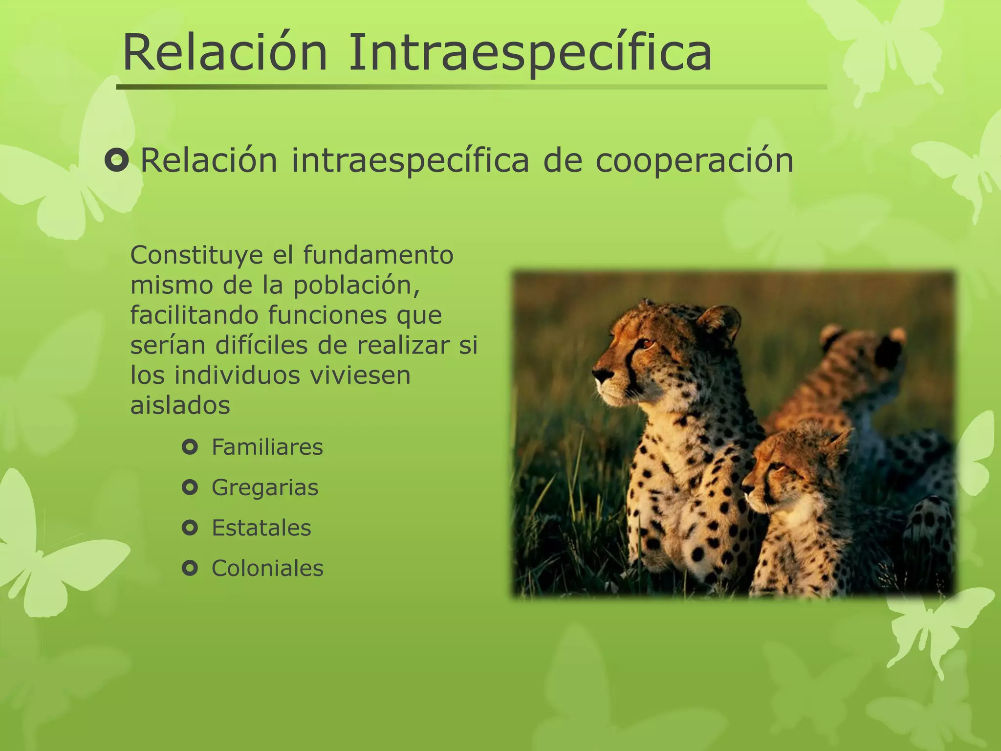 Relacion intraespecifica e interespecifica | PDF
