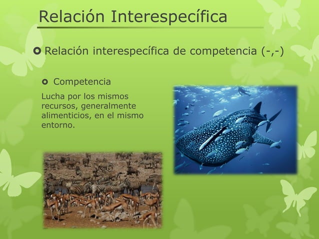 Relacion intraespecifica e interespecifica | PDF