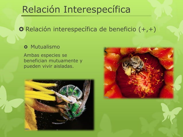 Relacion intraespecifica e interespecifica | PDF
