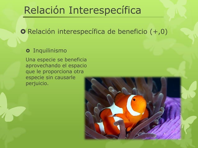Relacion intraespecifica e interespecifica | PDF