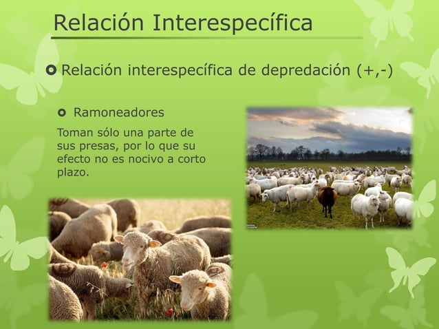Relacion intraespecifica e interespecifica | PDF