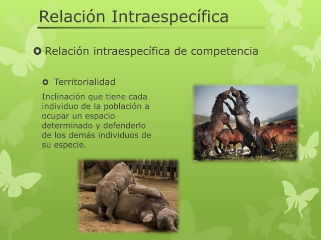 Relacion intraespecifica e interespecifica | PDF