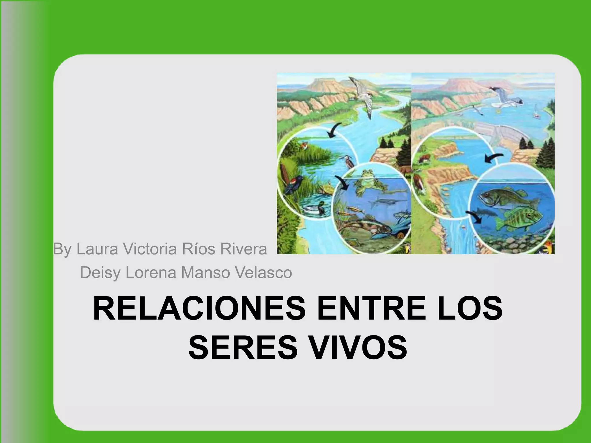 Relaciones entre los seres vivos | PPTX
