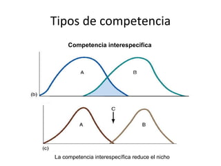 Competencia Ecologia