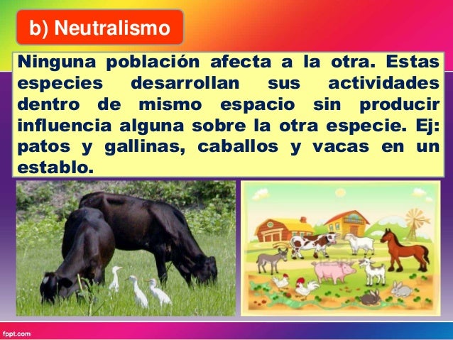 Ejemplos De Neutralismo Biologico Bolzano Untitled