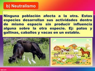 Relaciones interespecíficas | PPT