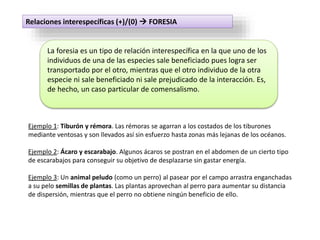 Relaciones interespecíficas | PPTX