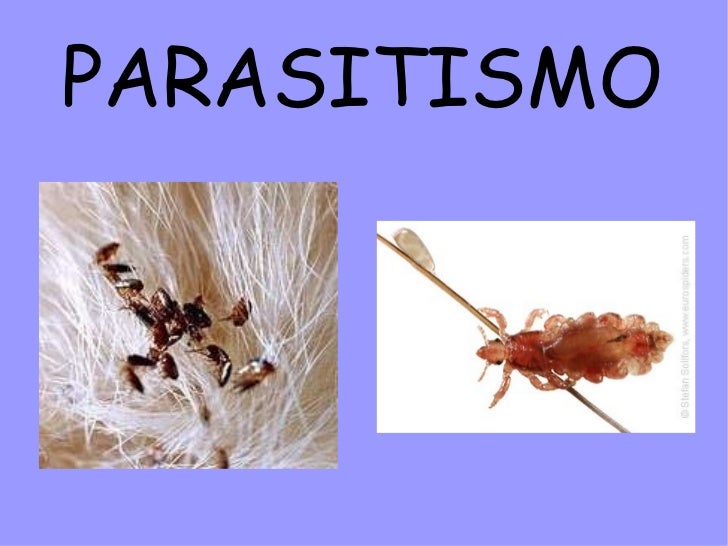 Relaciones interespecificas