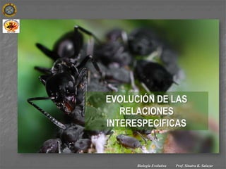 Relaciones interespecificas | PPTX
