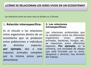 relaciones interespecificas.pptx