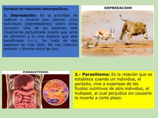 relaciones interespecificas.pptx