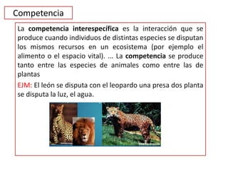 Relaciones interespecificas1 | PPTX