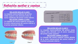 Relaciones intermaxilares.pptx