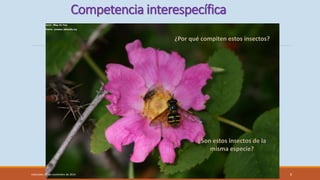 Relaciones Inter e Intra Específicas | PPTX