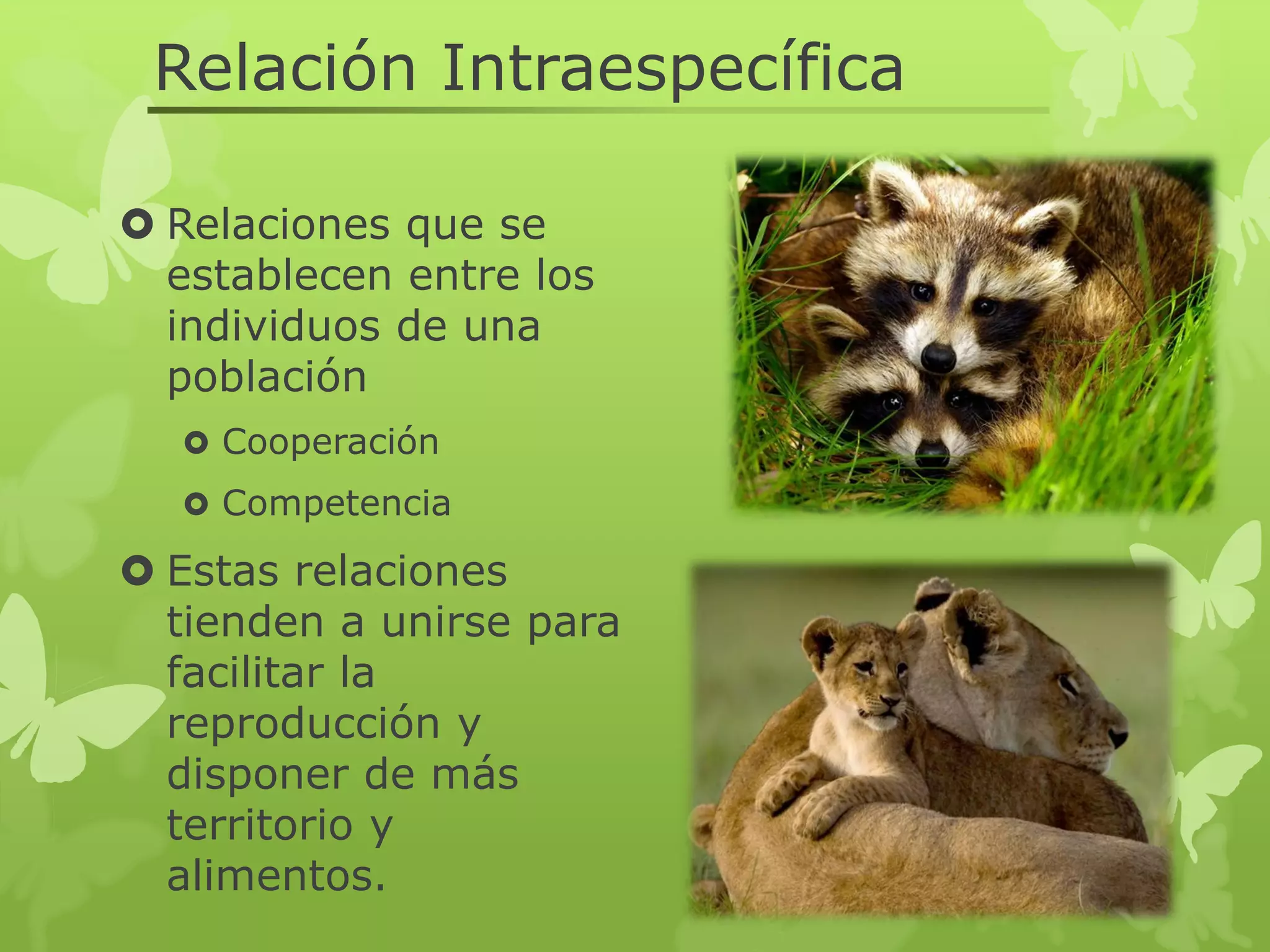 Relaciones intraespecífica e interespecíficas | PDF