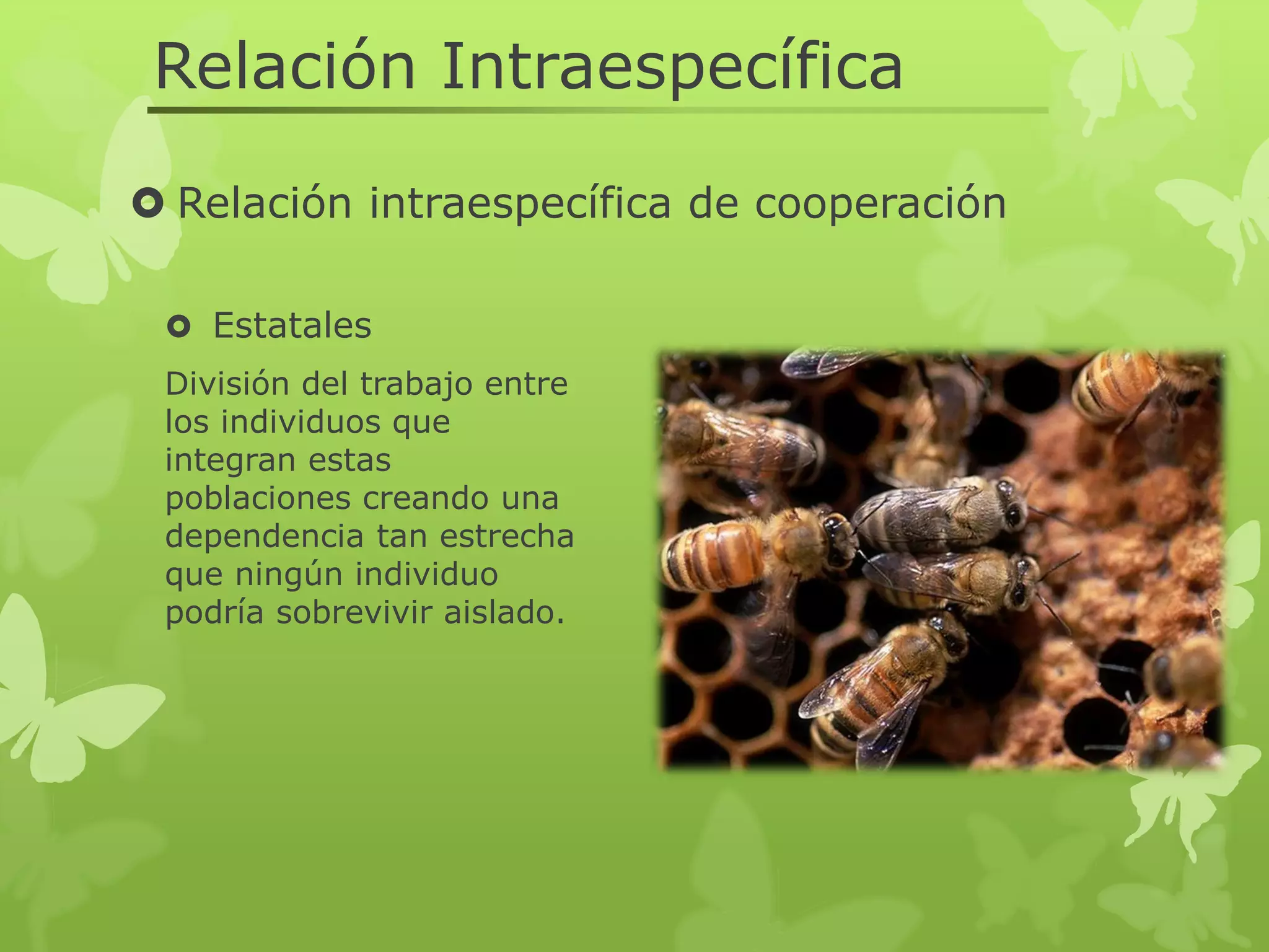 Relaciones intraespecífica e interespecíficas | PDF
