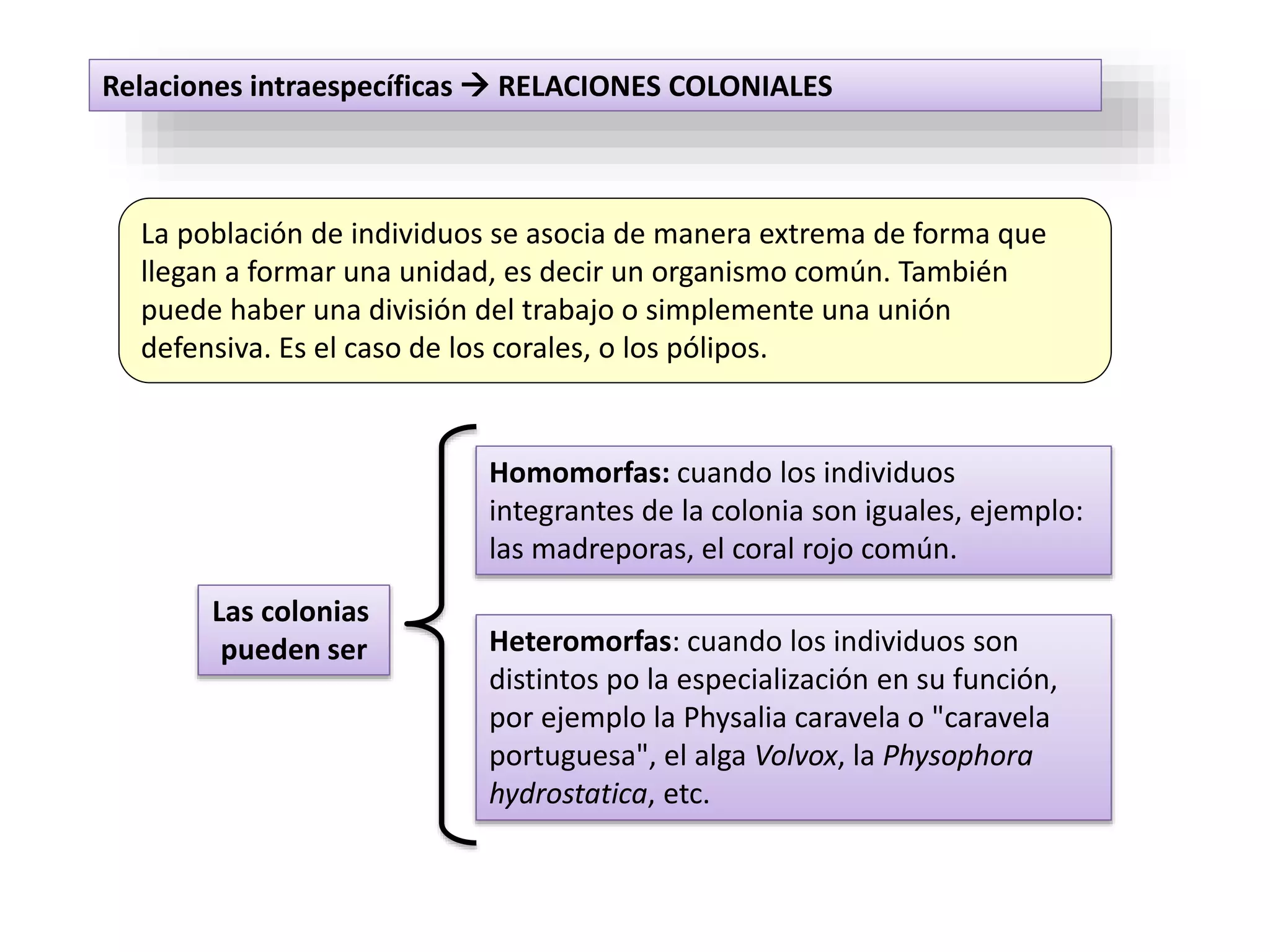 Relaciones intraespecíficas | PPTX