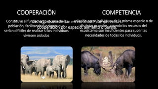 Relaciones intraespecificas copia | PPTX