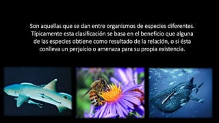 Relaciones intraespecificas copia | PPTX