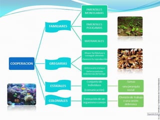 Relaciones intraespecificas e interespecificas. | PPT