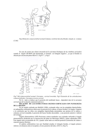 Relacion postura hioides | PDF