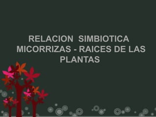 RELACION SIMBIOTICA PLANTA-MICORRIZAS.pptx