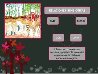 RELACION SIMBIOTICA PLANTA-MICORRIZAS.pptx