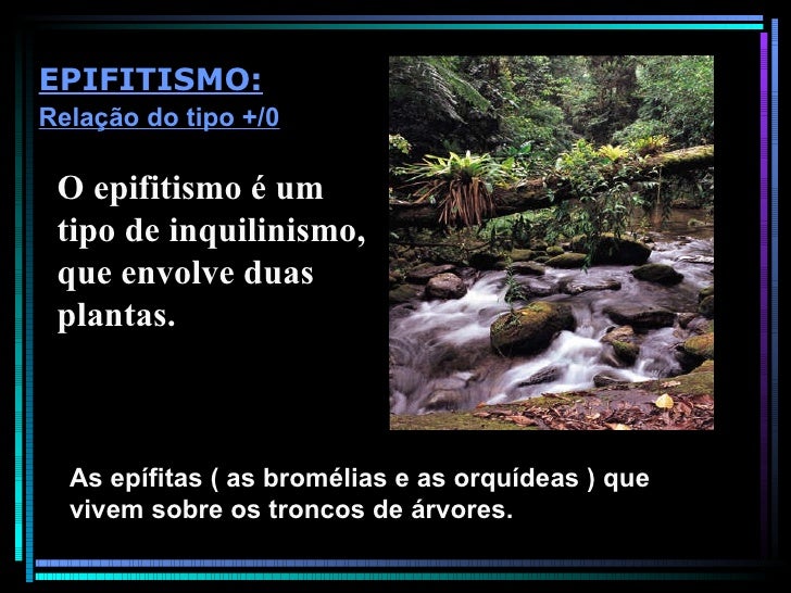 Relações Ecológicas