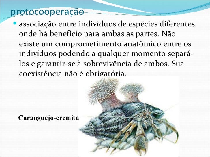 Relações ecológicas 2