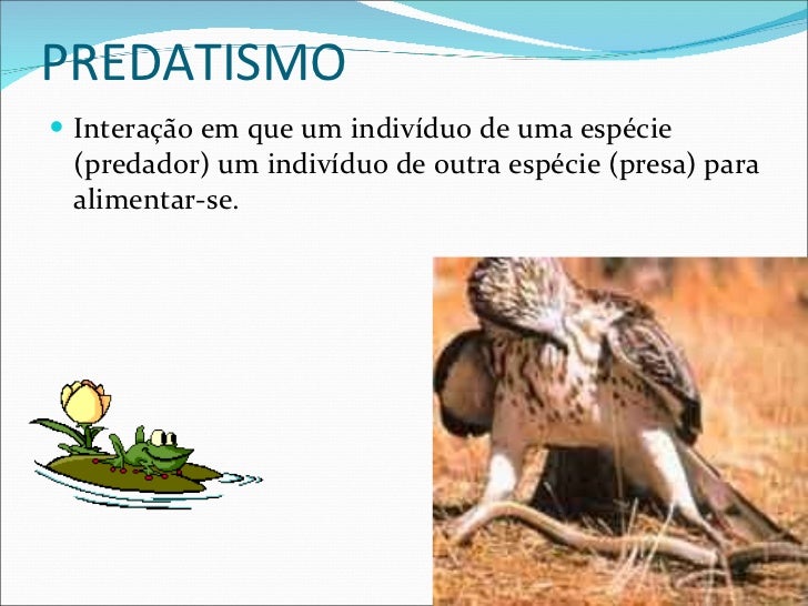 Relações ecológicas 2