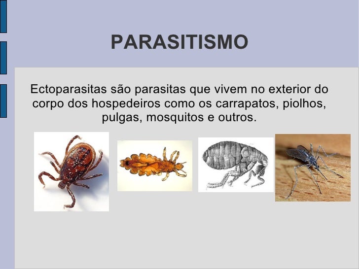 RelaçõEs EcolóGicas Desarmonicas