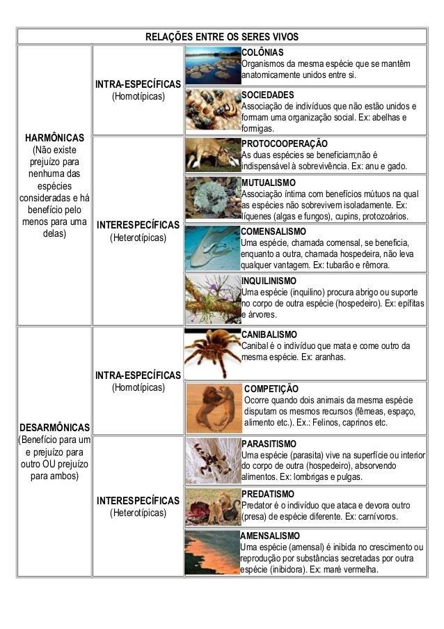 Relações entre os seres vivos