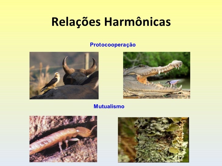Relações harmônicas e desarmônicas