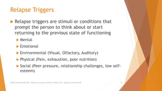 Relapse Prevention: Journey to Recovery Series | PPTX