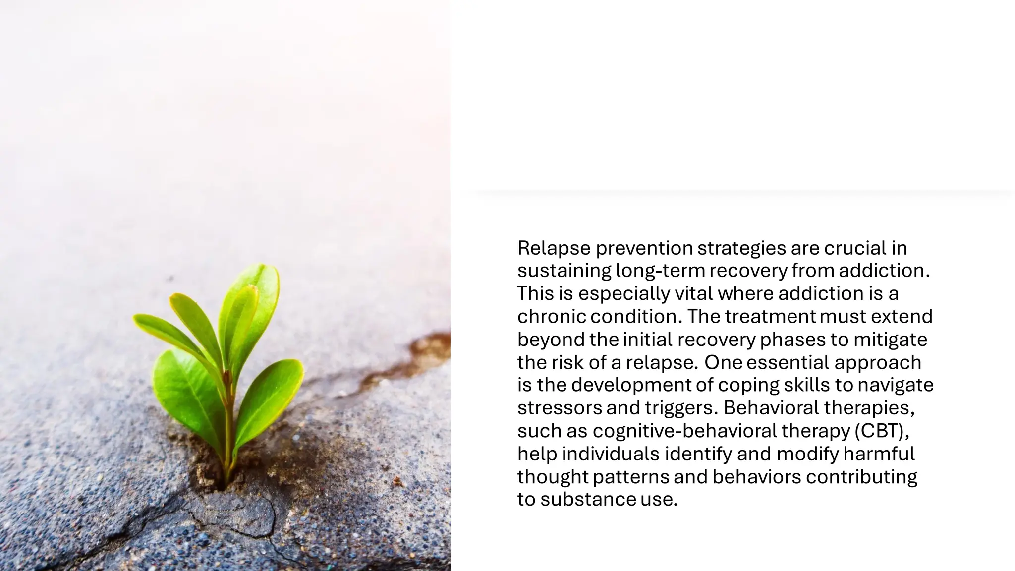 Relapse Prevention Strategies in Addiction Treatment | PDF