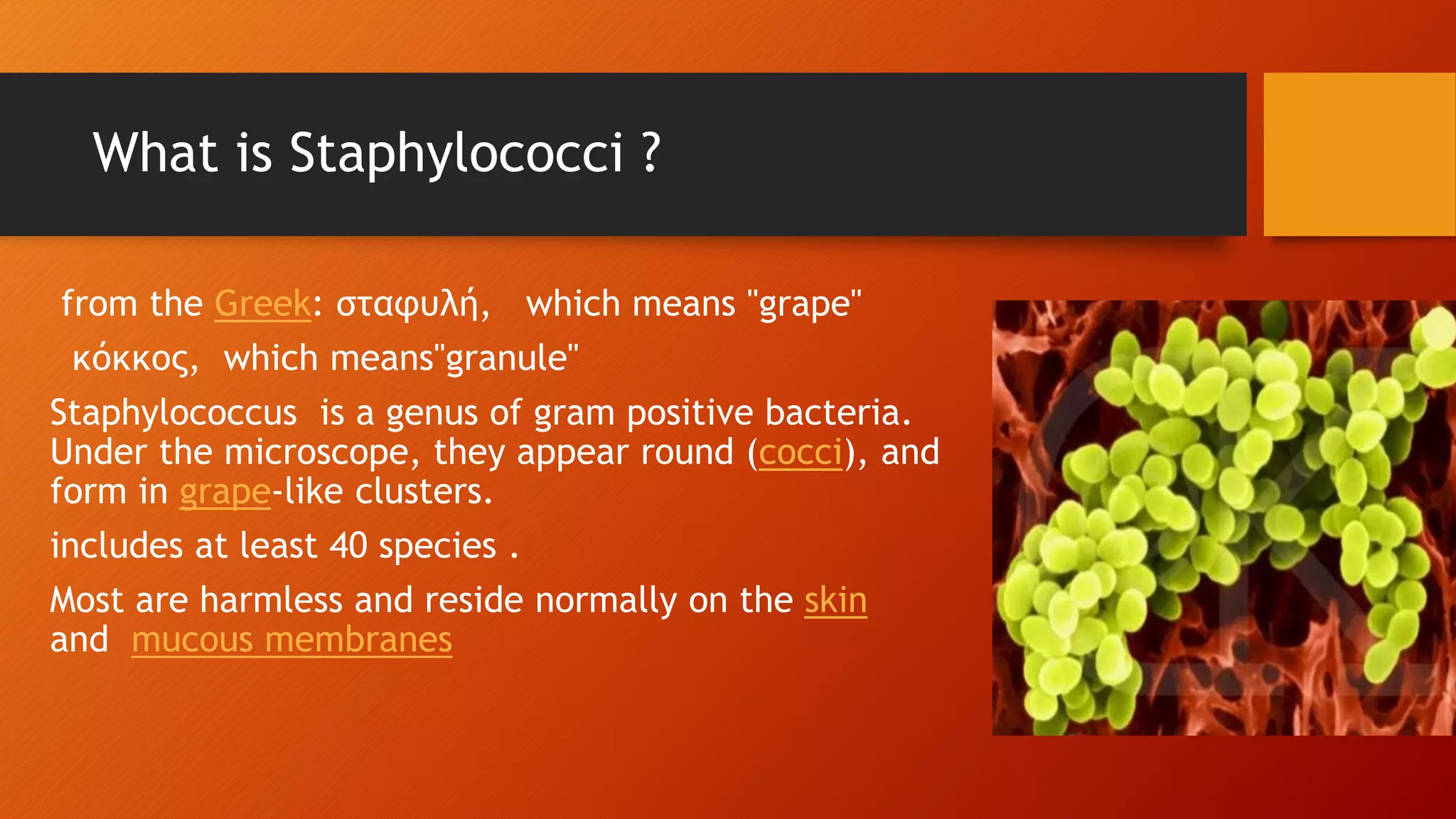 Relapsing coagulase negative staphylococcus peritonitis | PDF