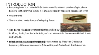 Relapsing fever | PPT