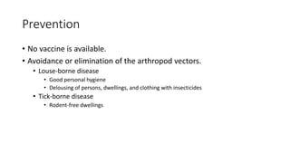 Relapsing Fever.pptx infectious disease in internist AMGH | PPTX